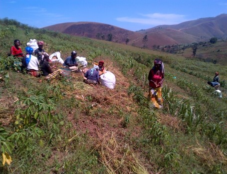 Intégration de l’agroécologie par l’approche colline - Plateforme Diobass